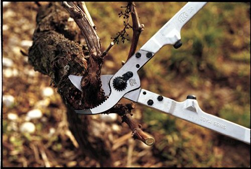 Felco Loppers, Red – Tool Centre McKinnon