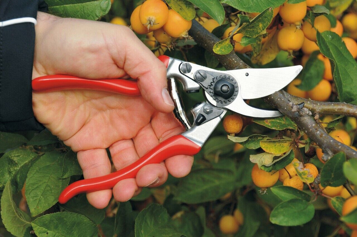 FELCO 9 ERGONOMIC SWISS MADE ONE-HAND LEFT HANDED PRUNING SHEAR / SECA ...
