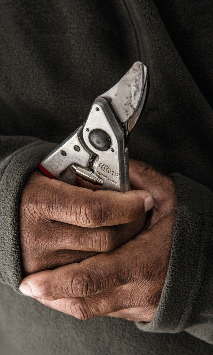 FELCO 12 COMPACT SWISS MADE ONE-HAND REVOLVING HANDLE PRUNING SHEAR ...