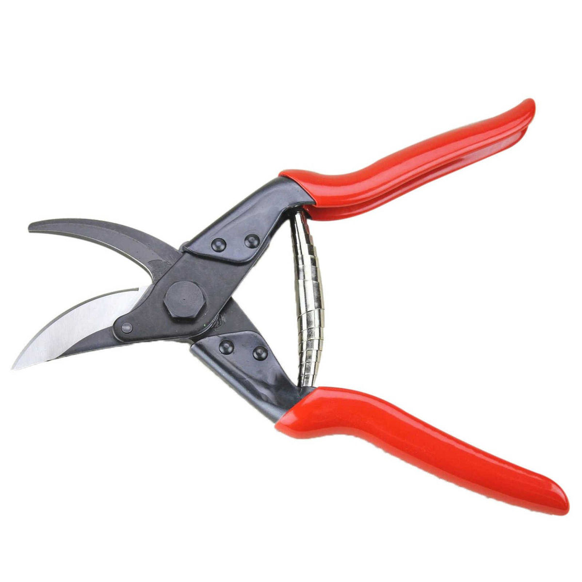 FELCO 5 Pruning Shears/Secateurs with Holster 910 Made In Switzerland ...